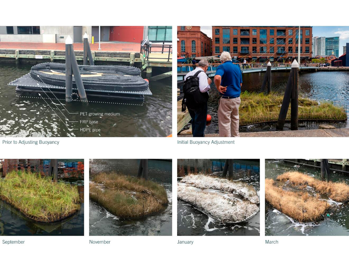 A New Model for Floating Wetlands — Ayers Saint Gross