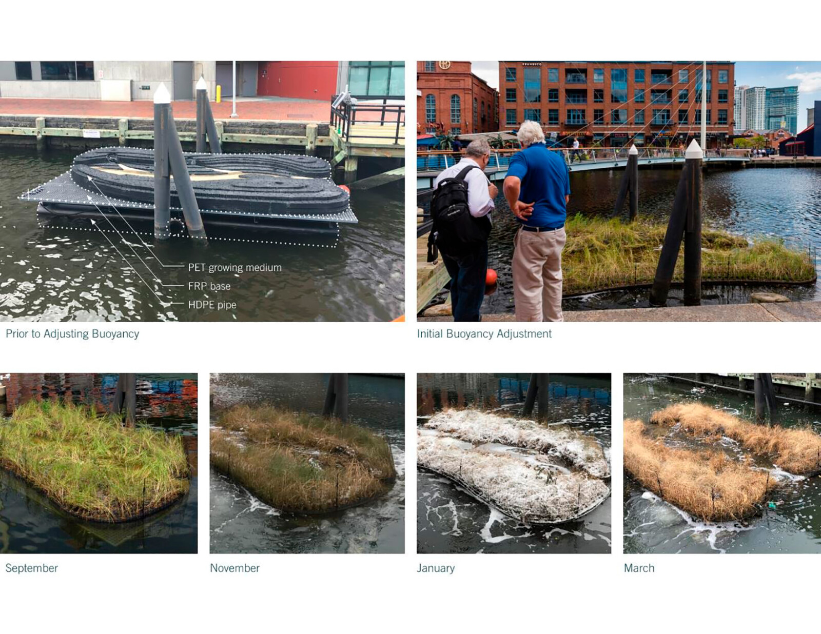 A New Model for Floating Wetlands — Ayers Saint Gross