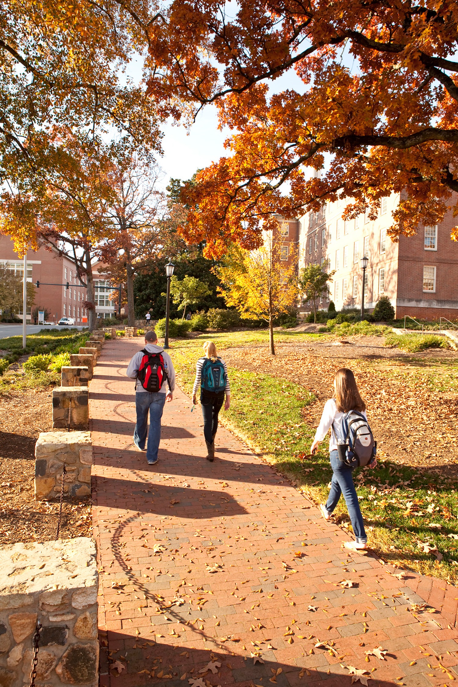 University of North Carolina at Chapel Hill — South Columbia Street ...
