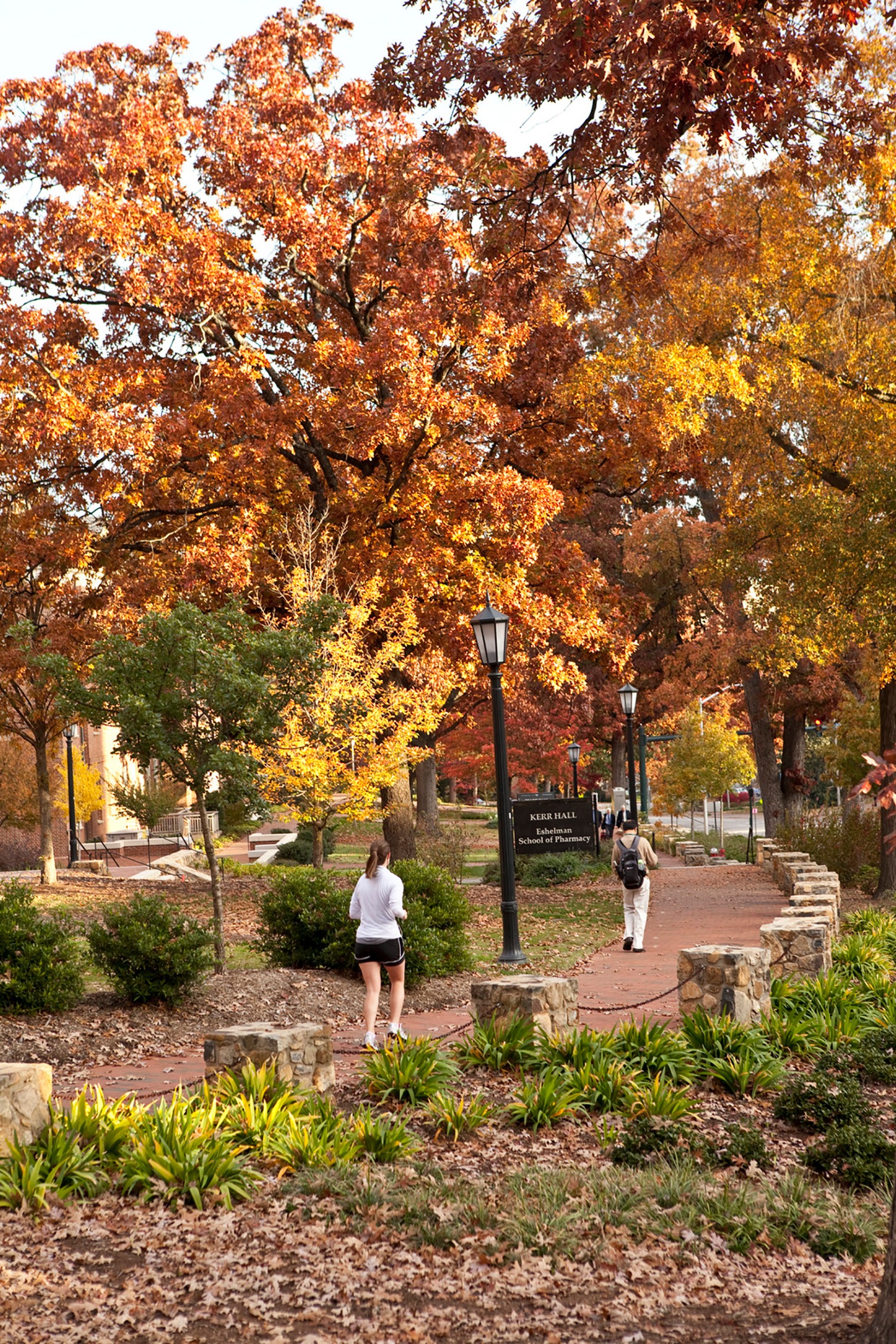 University of North Carolina at Chapel Hill — South Columbia Street ...