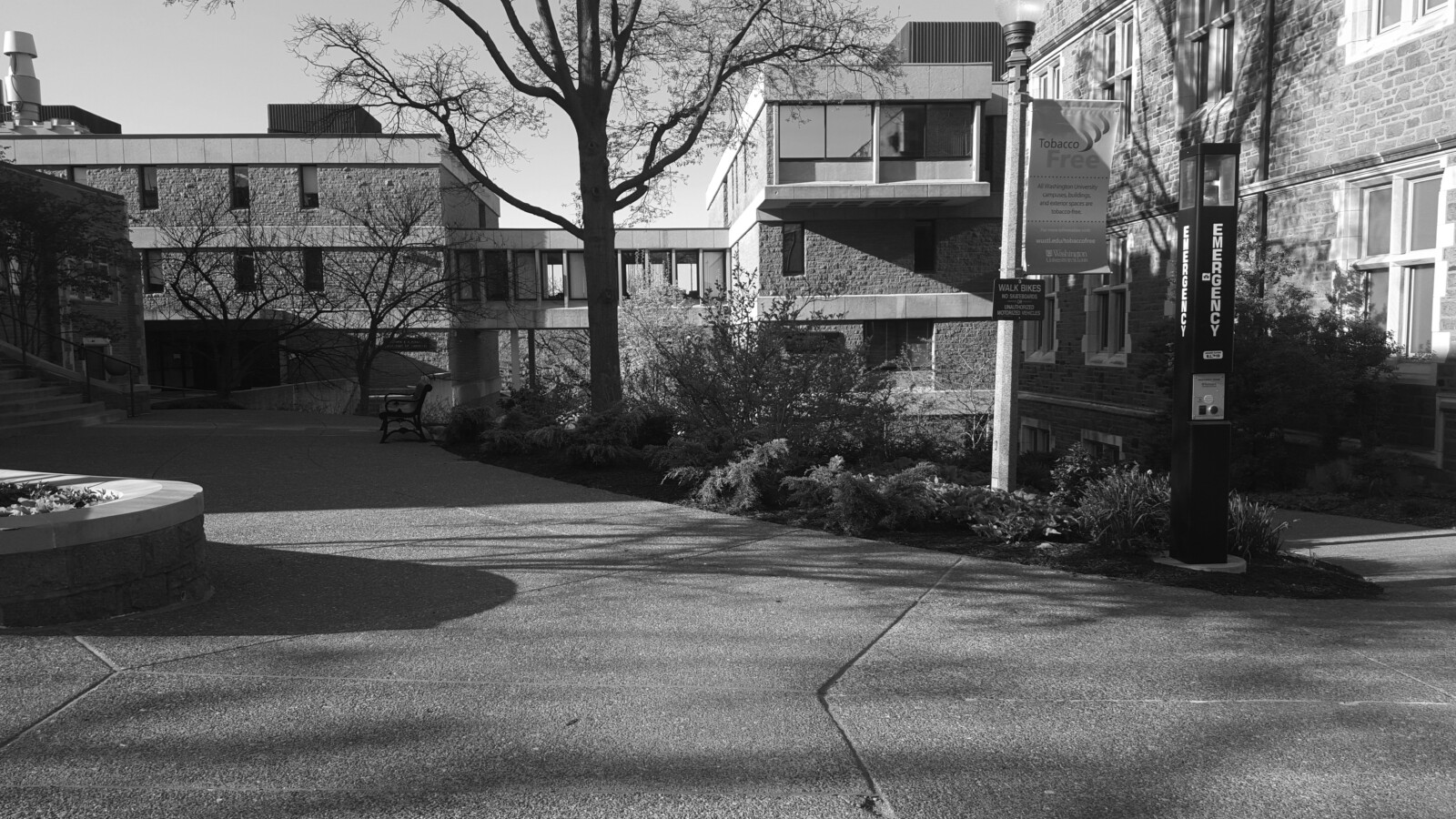 Washington University in St. Louis Bryan Hall Chemistry Research ...