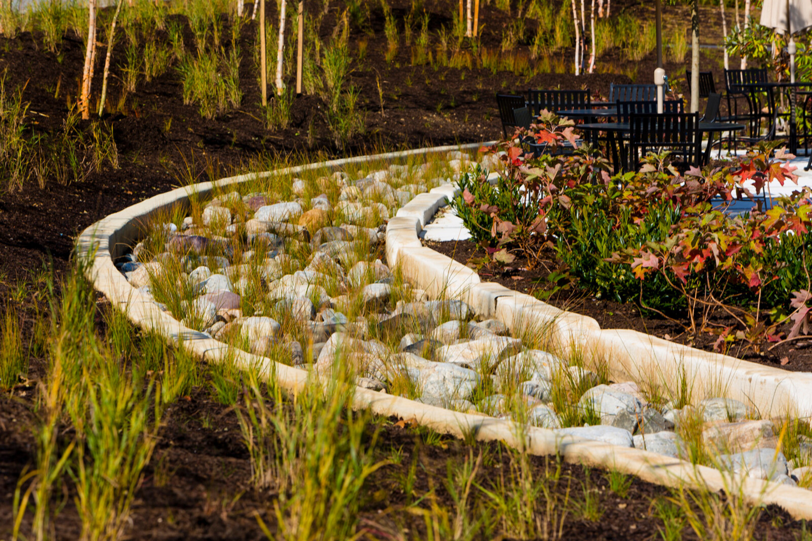 Johns Hopkins University Applied Physics Laboratory Landscape ...