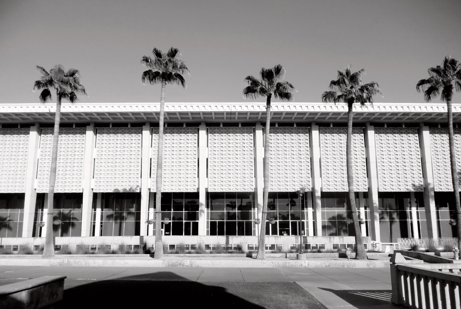Arizona State University Hayden Library Reinvention — Ayers Saint Gross