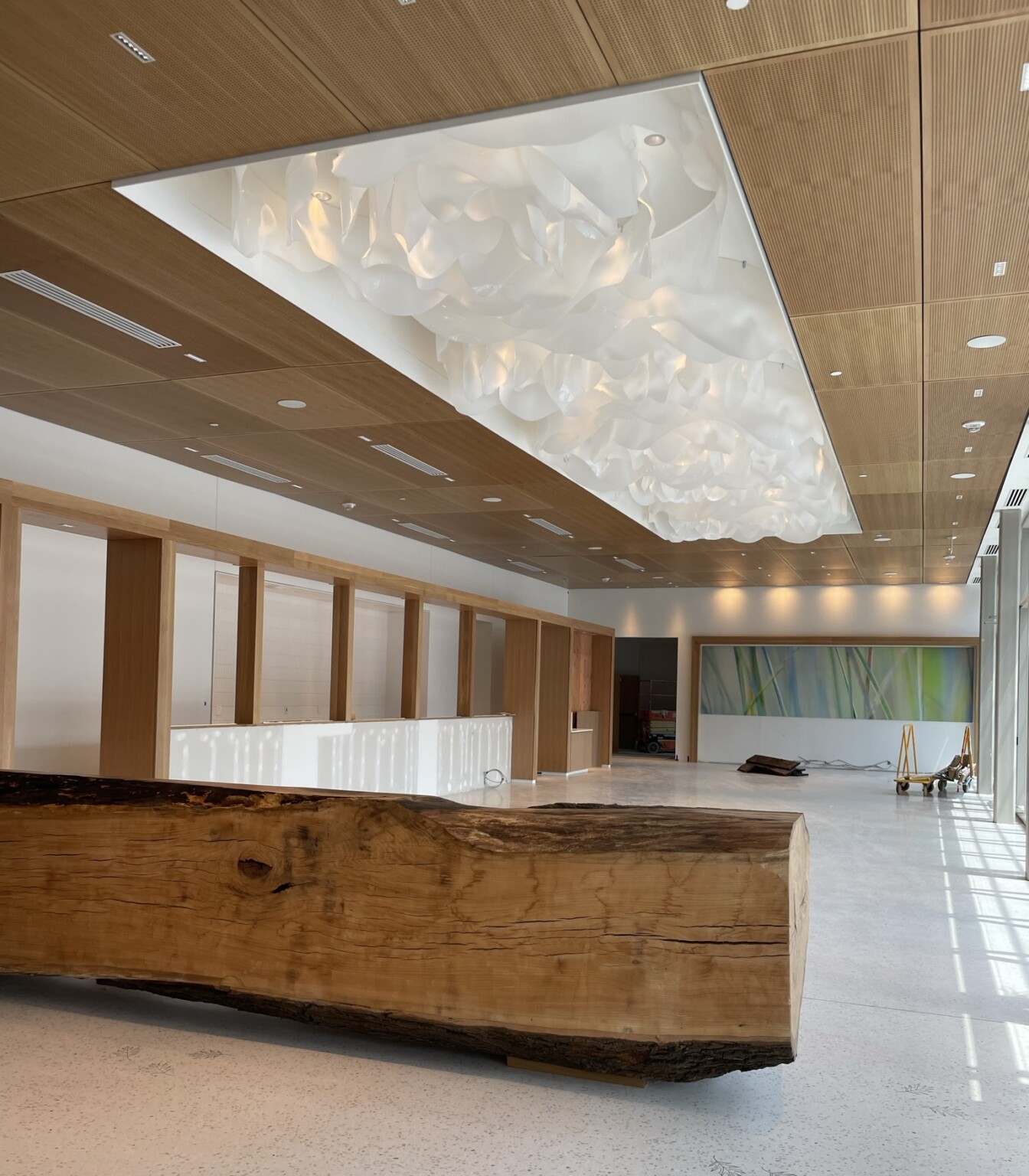 Biophilic Design: Infusing Nature into the Jack C. Taylor Visitor ...