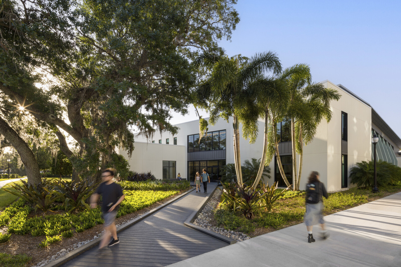 Cunniffe Commons — Ayers Saint Gross