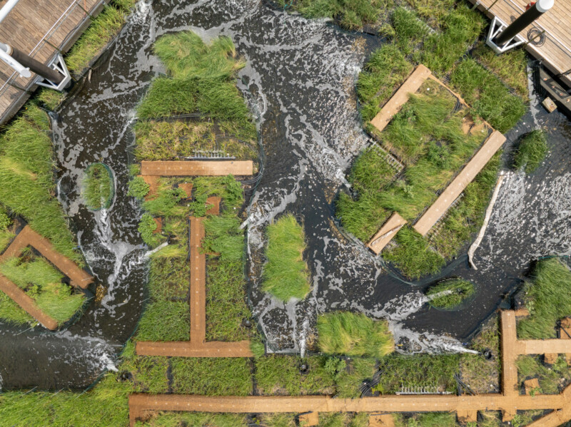 Creating a Floating Wetland in Baltimore's Inner Harbor — Ayers Saint Gross