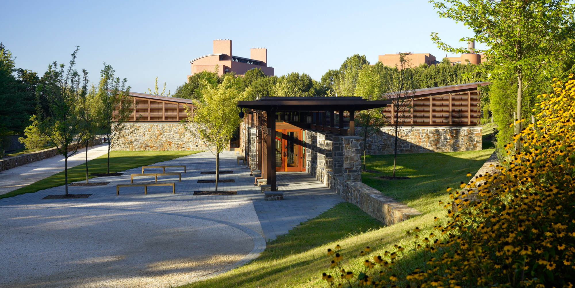 Designing with Mass Timber — Ayers Saint Gross